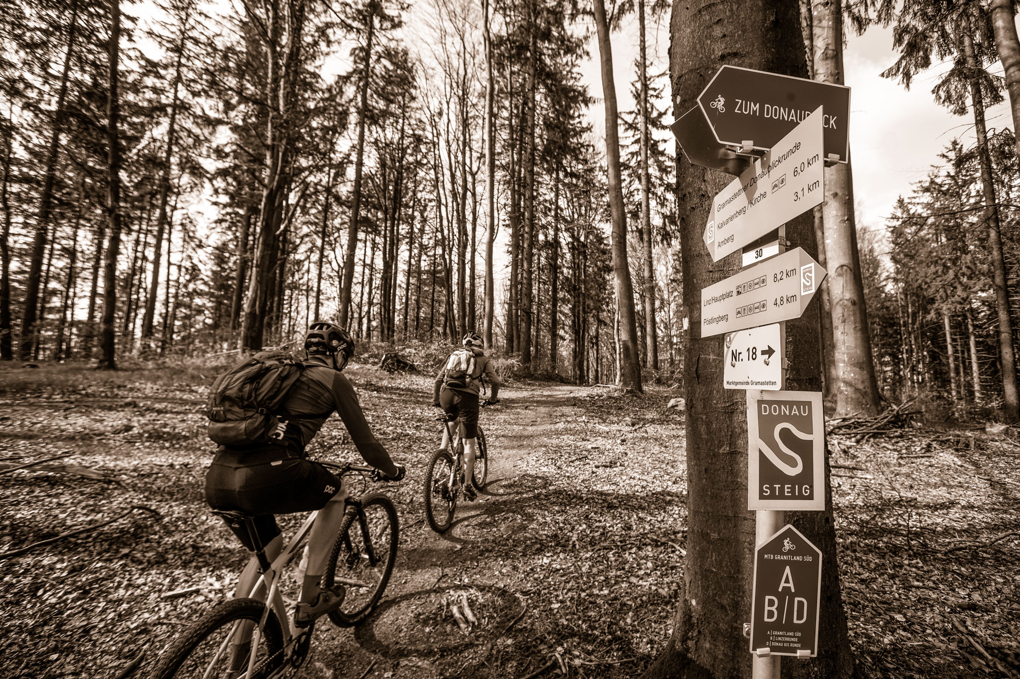 Mühlviertler Granitland - Mühlviertler Granitland